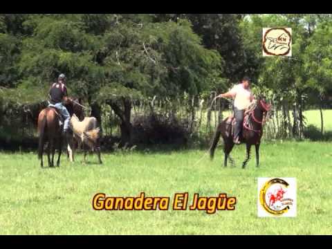 Finca El Jagüe Oct - YouTube