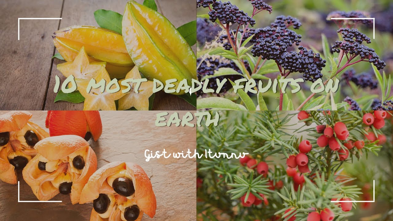 10 most deadly fruits on earth that can kill you😱😱|dangerous fruits ...