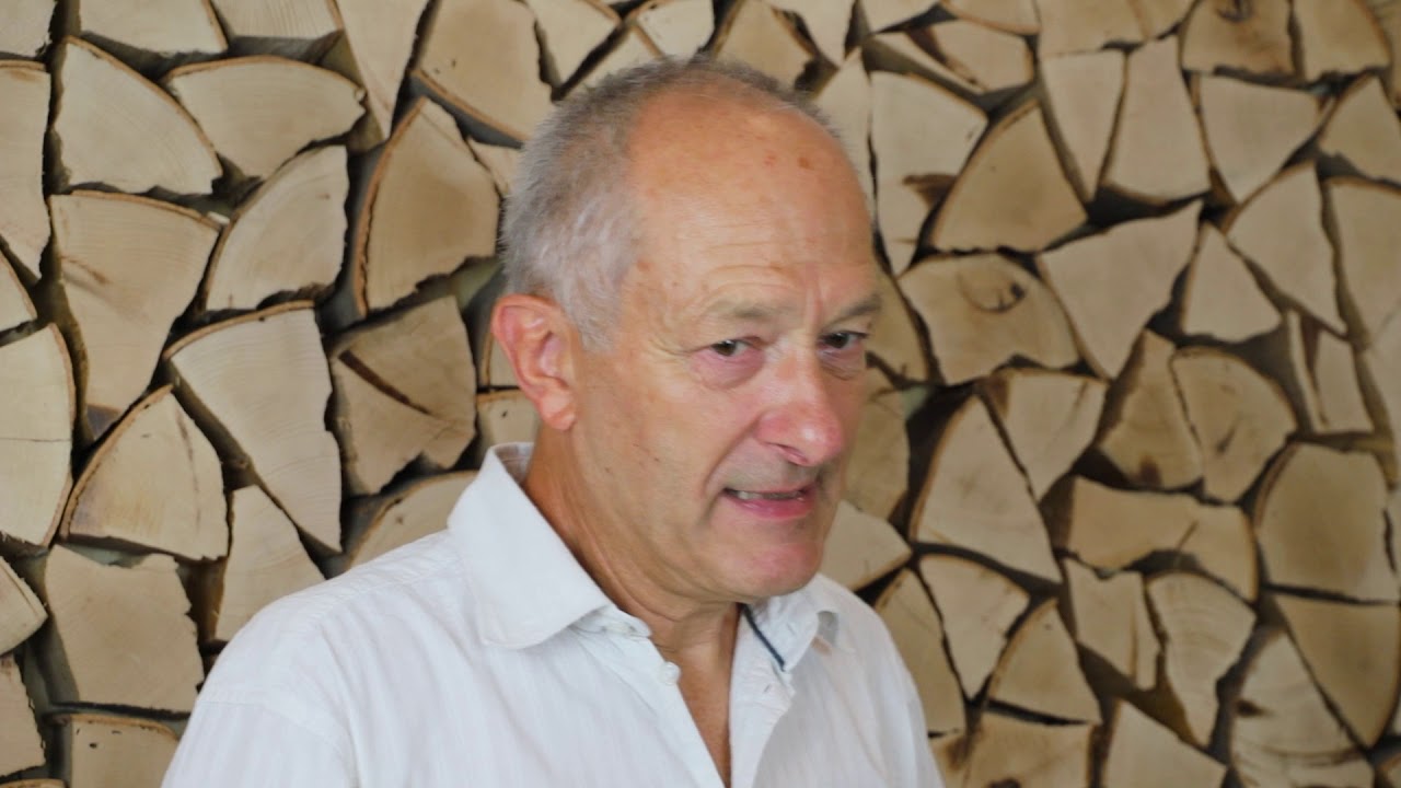 "Heizen mit Pellets" - Insights mit Dr. Christian Rakos - YouTube