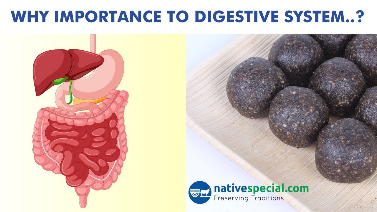 Why food choices is important for the digestive system? | Healthy ...