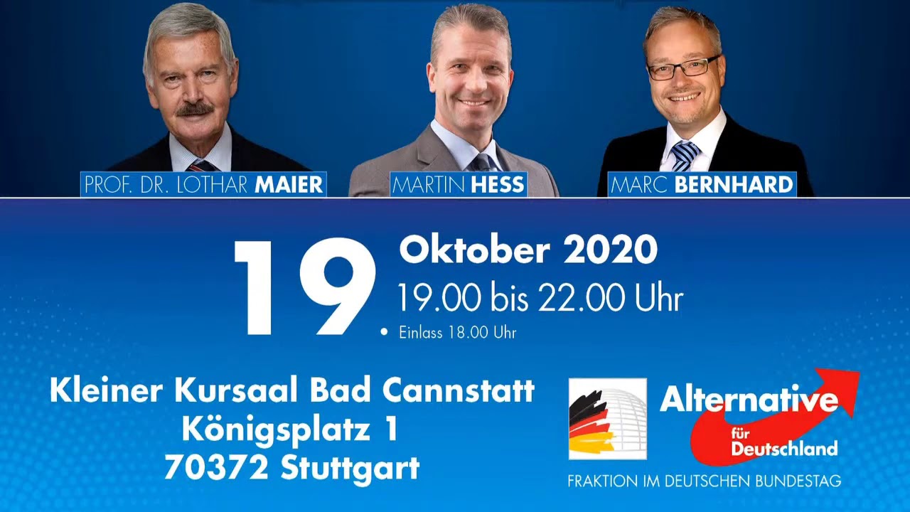 AfD - Wege aus der Staats- und Wirtschaftskrise | Martin Hess | Marc ...