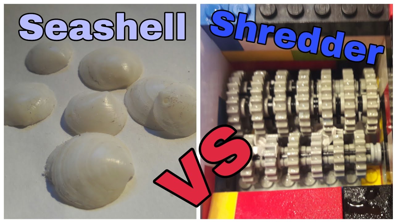 Seashell VS Lego Shredder - YouTube