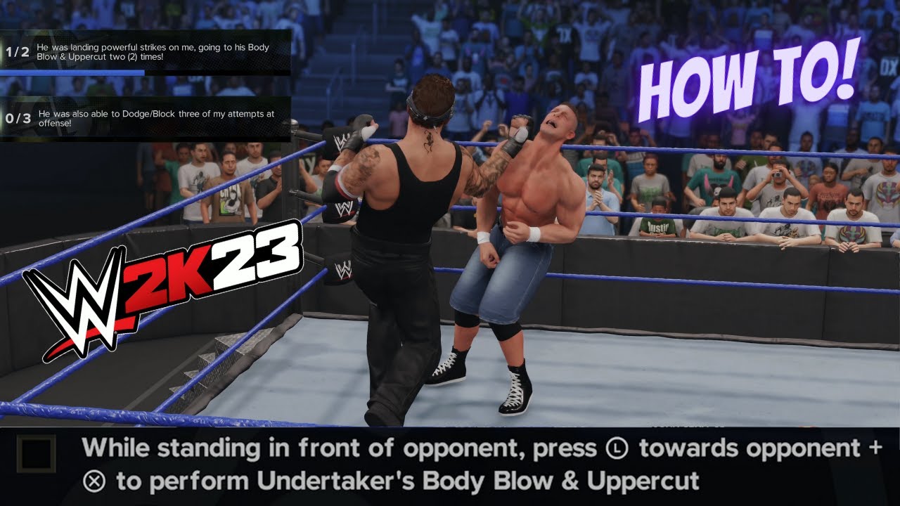 Undertaker Body Image