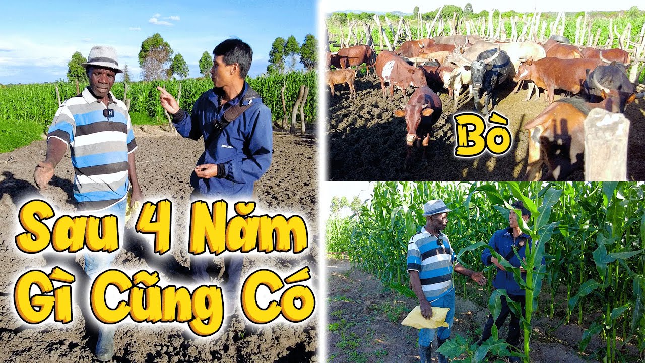Sau Nhiêu Năm Giờ NHÀ BÁC CÁI GÌ CŨNG CÓ! Kinh Ngạc Trước Mô Hình Chăn ...