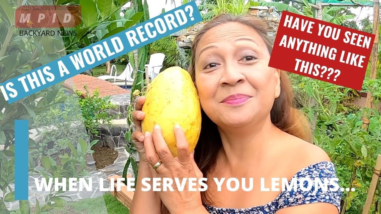 BIGGEST LEMON IN THE WORLD? (House Building in the Philippines) - YouTube