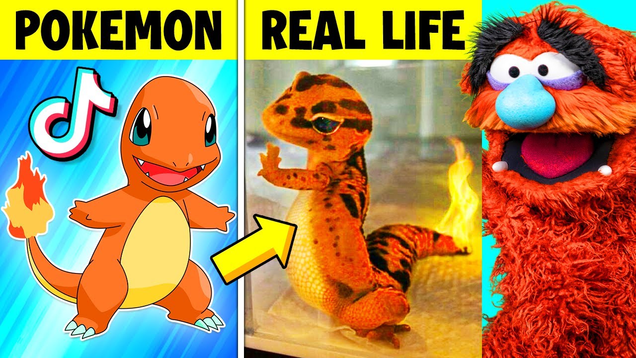 Pokémon That ACTUALLY Exist In REAL LIFE (FUNNY TikTok!) - YouTube
