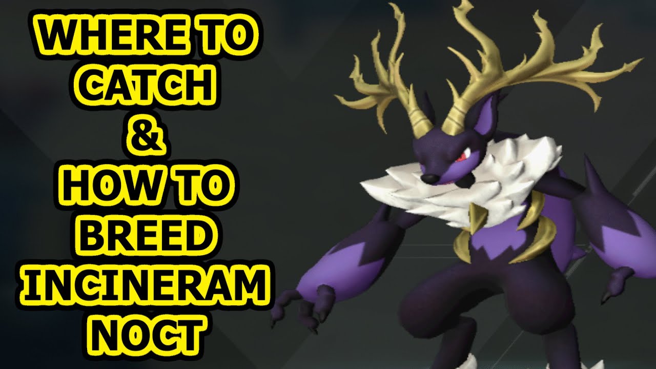Incineram Noct Location And Breeding - YouTube