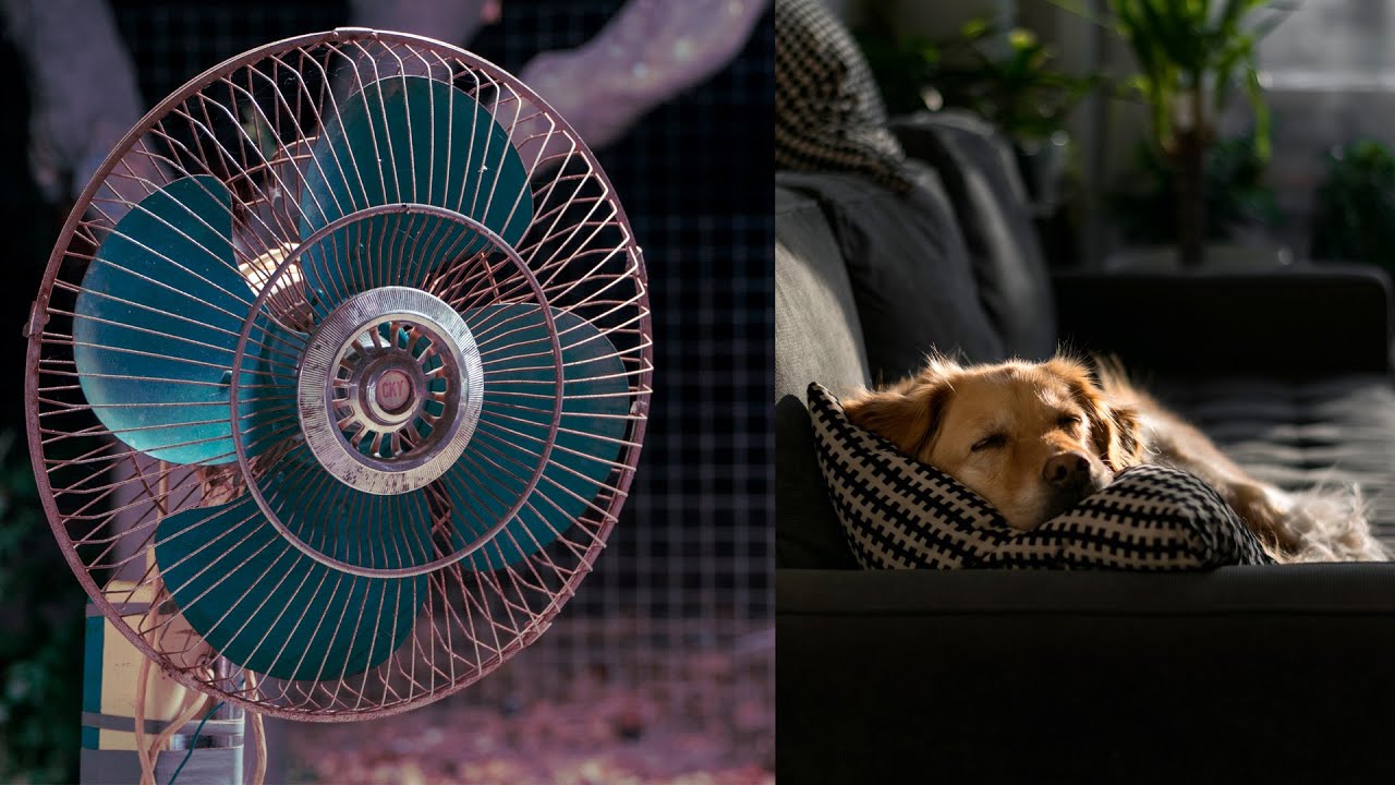 My oscillating fan, white noise in black screen. For Relaxation, Sleep ...