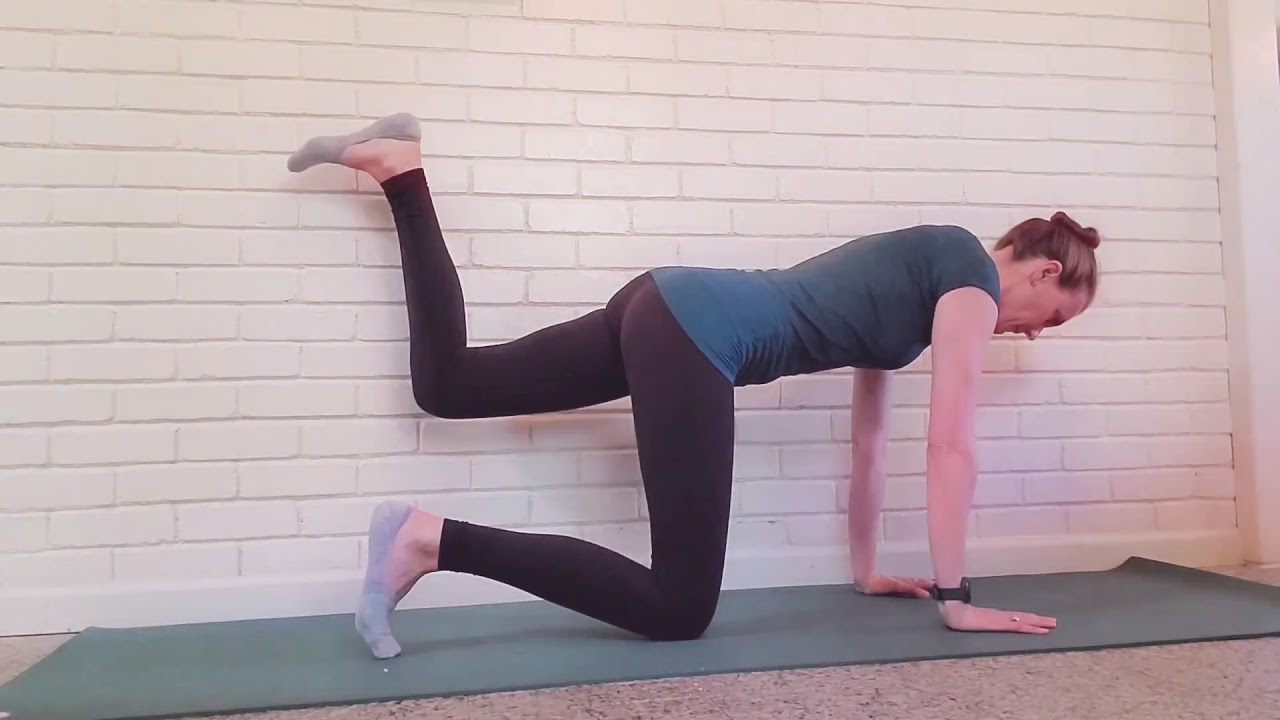 Quadruped Hip Extension aka Donkey Kicks - YouTube