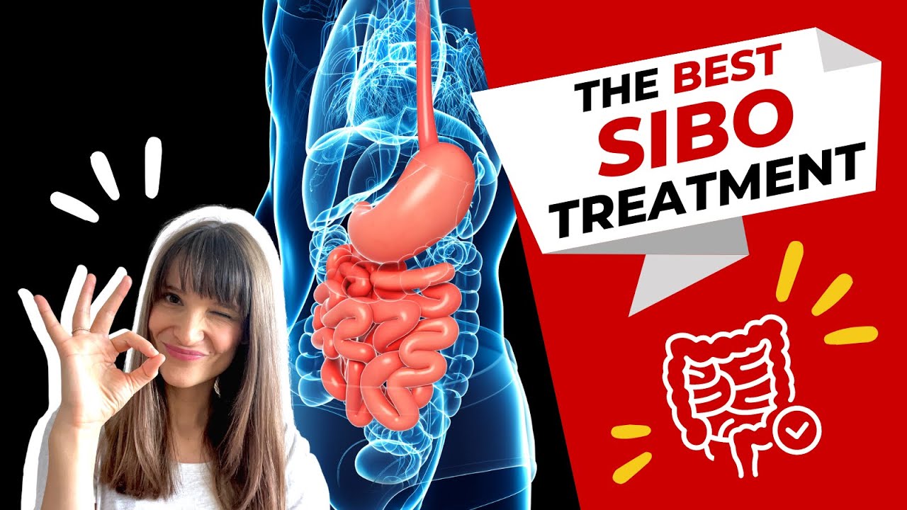 Best SIBO Treatment (Small Intestinal Bacterial Overgrowth) Symptoms ...