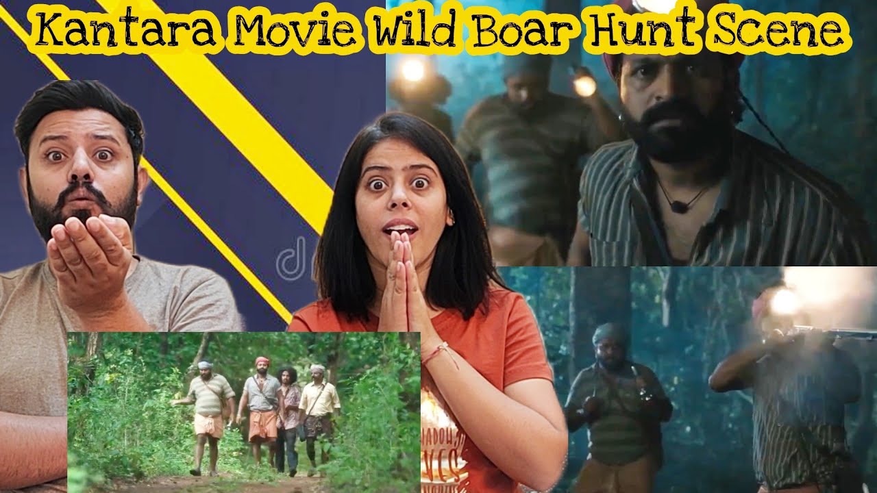 Kantara Movie Wild Boar Hunt Scene Reaction Rishab Shetty Kannada kantara-movie-wild-boar-hunt-scene-reaction-rishab-shetty-kannada