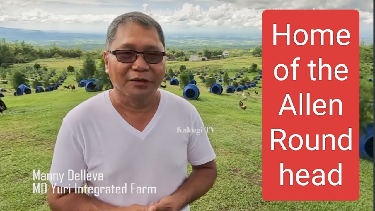 EP576 part 2: Home of the Allen Round Heads. MD Yuri Integrated Farm ...