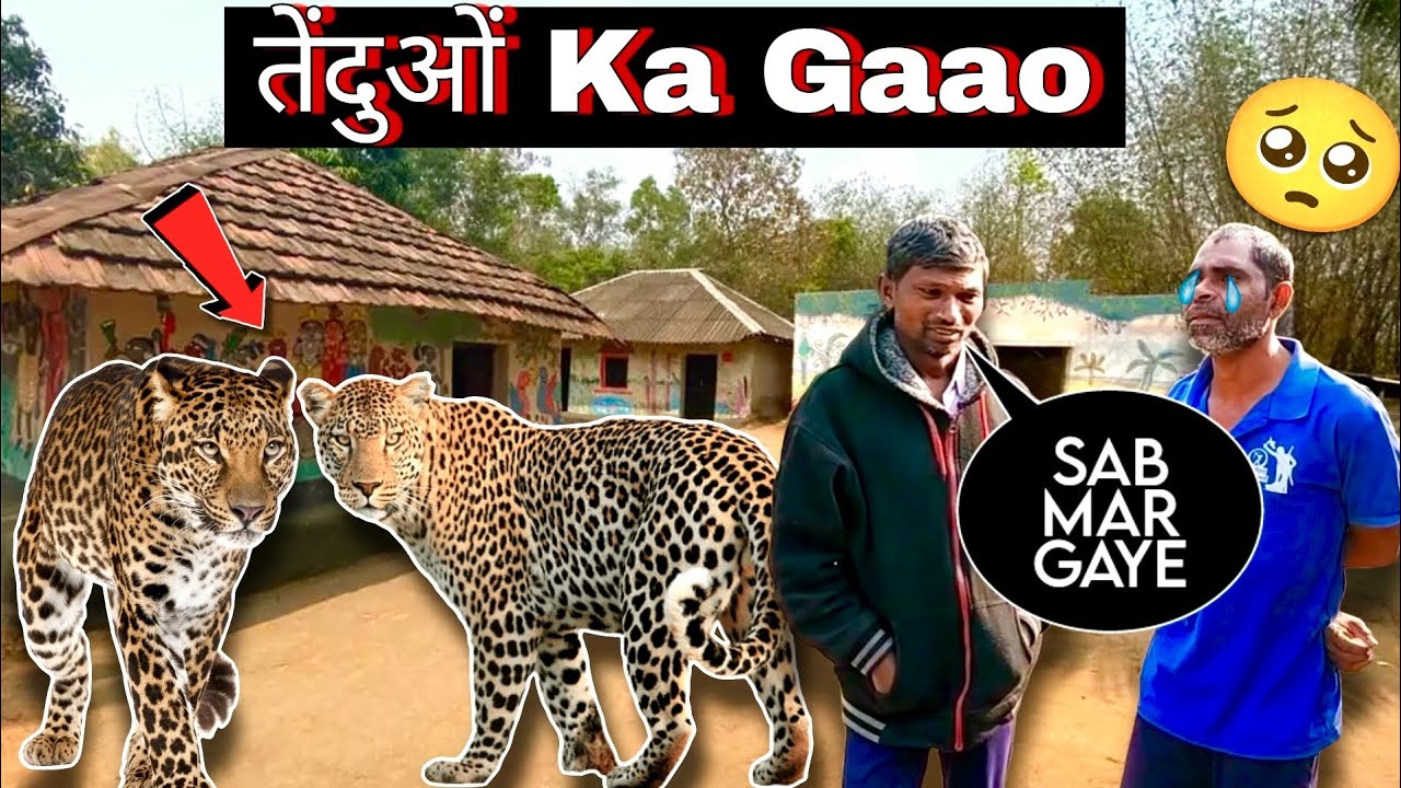 Tendua Ne Logo Ki Zindigi Barbad Kardiya 😰|leopard Village 🐆| leopard ...