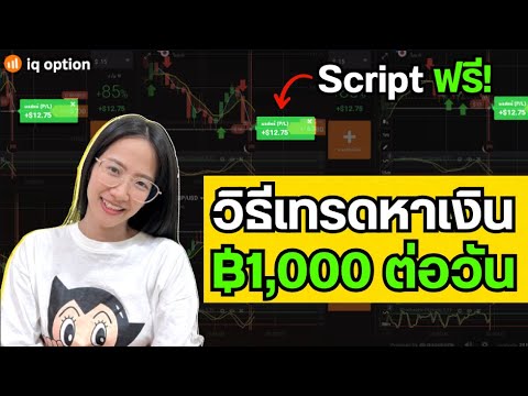 How to Make 1,000 Baht a Day Trading IQ Option Using a Free Script! | Pleng Nutcha
