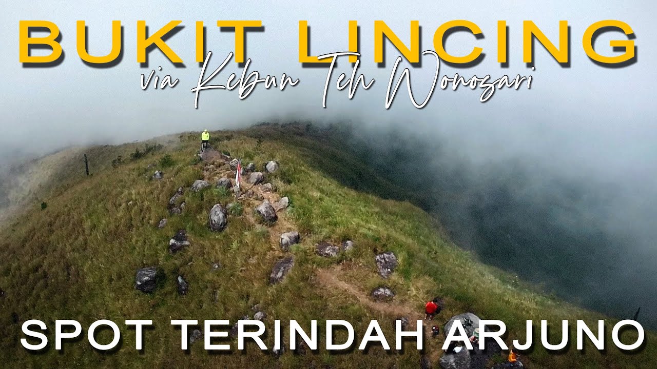 Bukit LINCING, Jalur Terindah Gunung ARJUNO via Kebun Teh Wonosari(+GPX ...