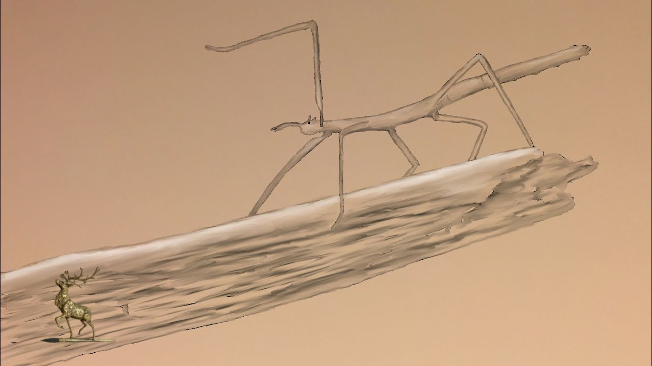 Toned Tan Insect Ecotherapy - Sticky Business - YouTube