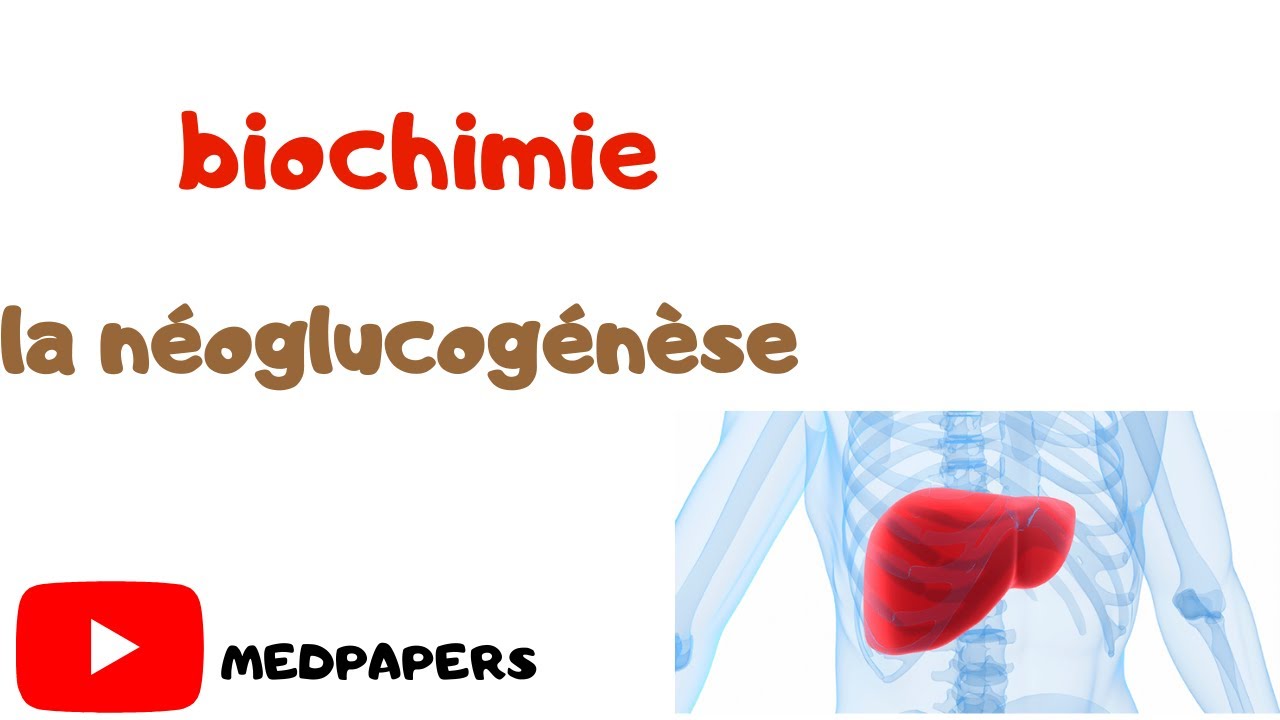 biochimie : la néoglucogenèse #biochimie #biochimie_métabolique # ...