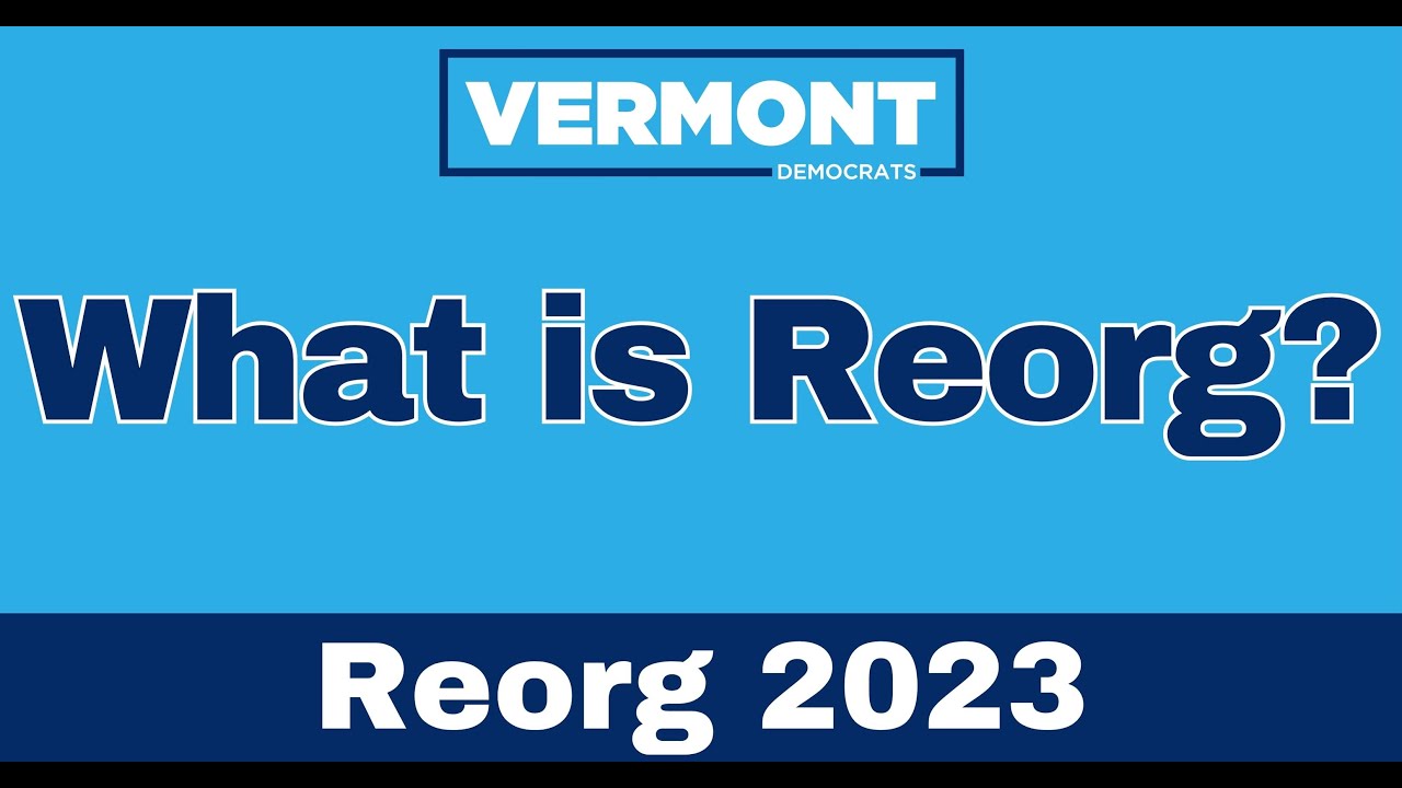 VDP Reorg 2023: What is Reorg? - YouTube