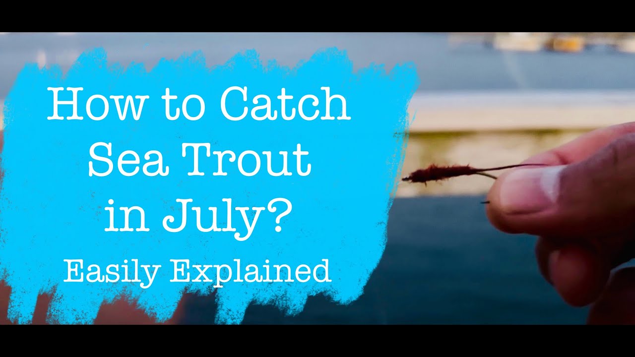 Can't Catch Sea Trout in July? This Might Help! - YouTube