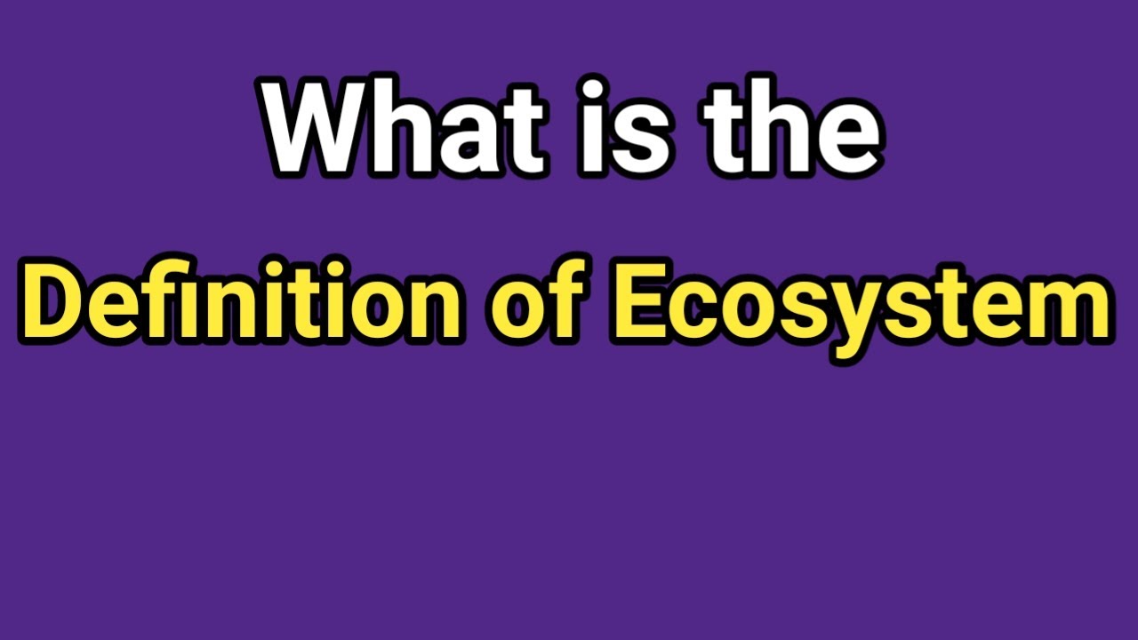 What is the Definition of Ecosystem - YouTube