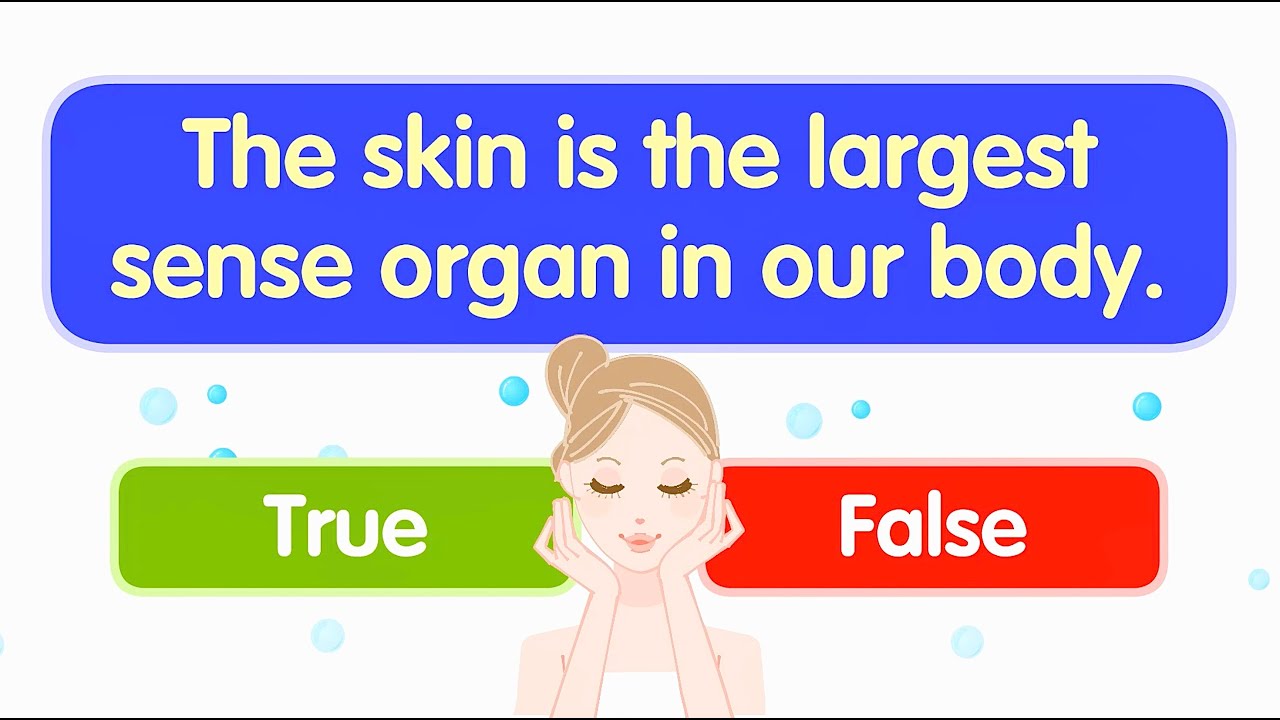 Fun Sense Organs Quiz for Kids! | Test Your 5 Senses Knowledge | Quiz ...