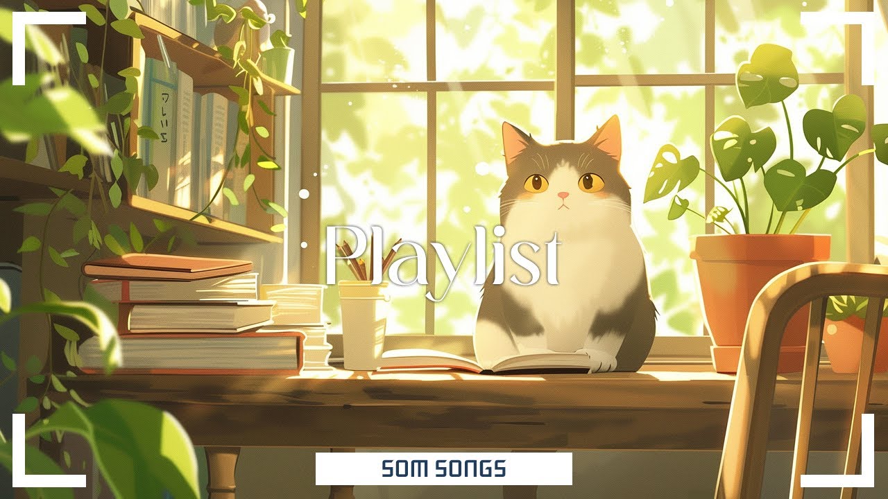 【Playlist】 Calm Piano Music for Concentration | Study and Focus - YouTube