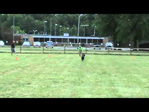 Dean Baber & Julie Ashtabula Skyhoundz - YouTube