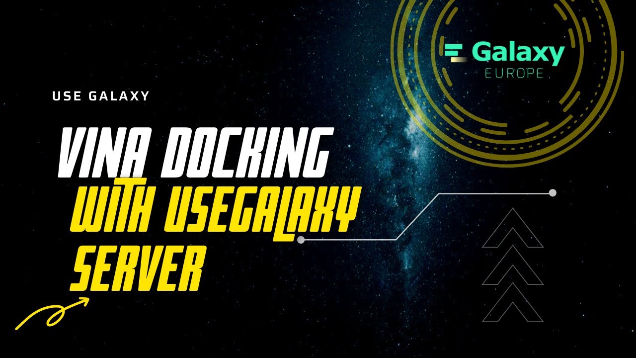 Molecular Docking and Virtual Screening with Vina by Galaxy Europe ...