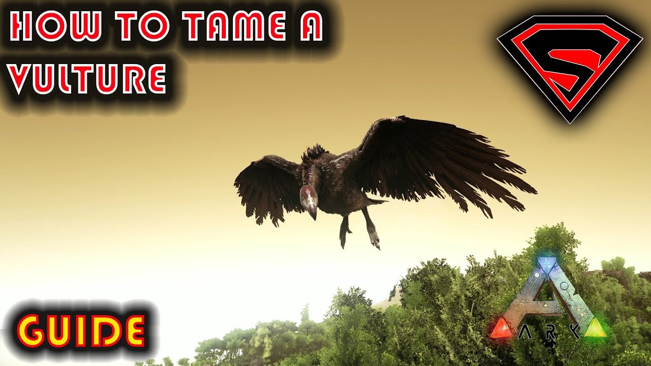ARK HOW TO TAME A VULTURE - THE BEST WAY TO TAME A VULTURE IN ARK 2019 ...