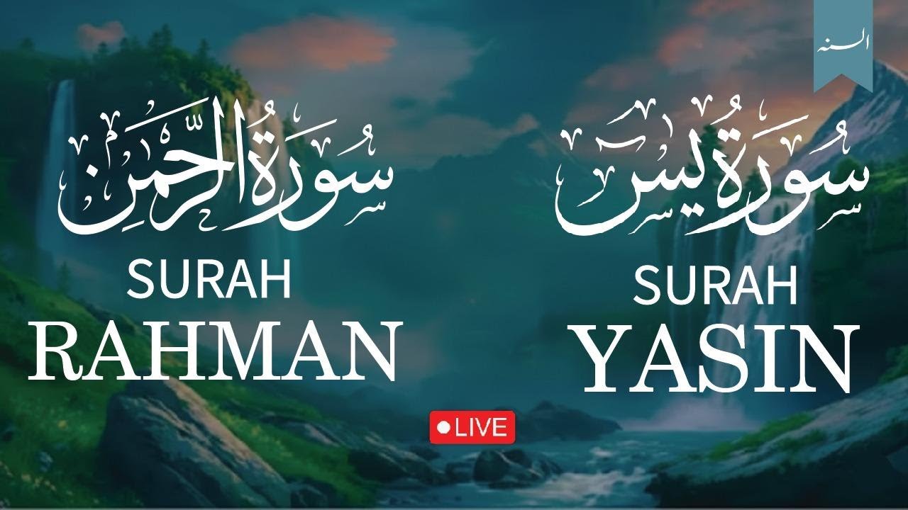 Live Surah Yasin & Surah Rahman| Most Beautiful Recitation - YouTube