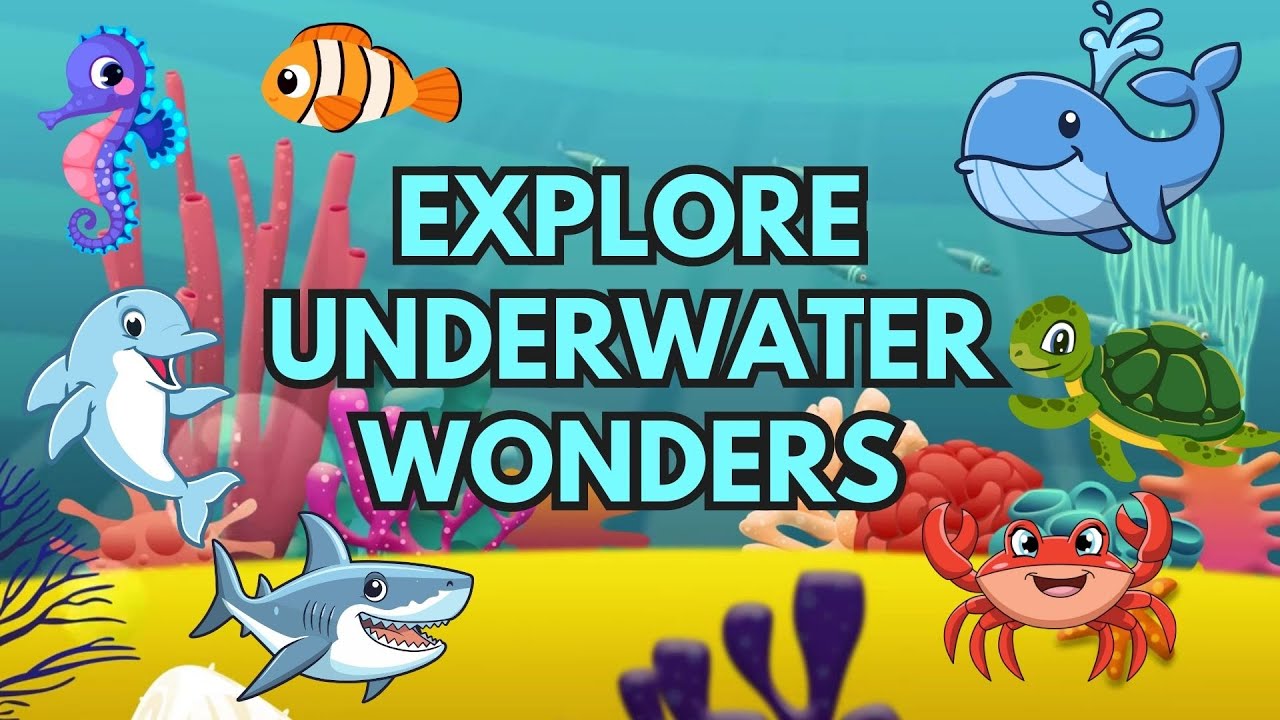 Underwater Wonders learning and Exploring the World of Water Animals ...