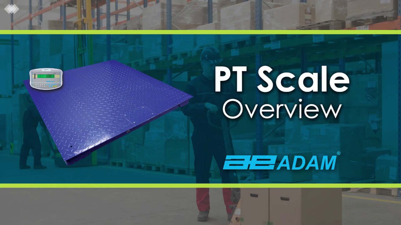 Adam Equipment PT Platform Scale 5000Lb. Capacity 1Lb. Readability ...