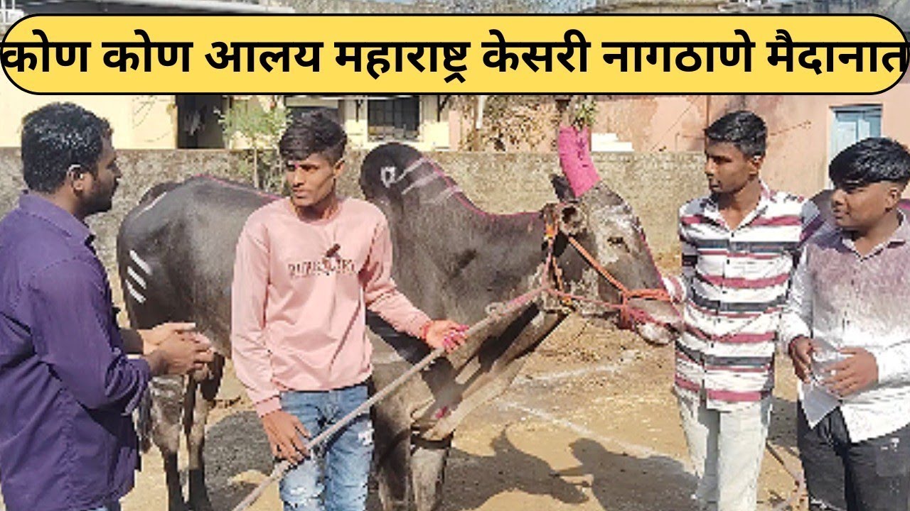☝️कोण कोण आलय महाराष्ट्र केसरी नागठाणे मैदानात ☝️ part-1☝️ Nagthane ...