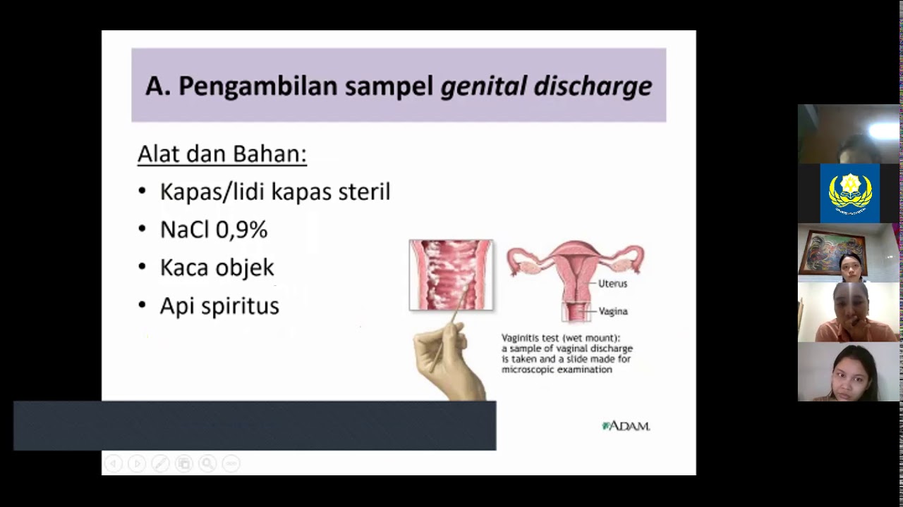 Kuliah Pengantar Praktikum 1 Praktikum PK Duh discharge genital dr Sri ...