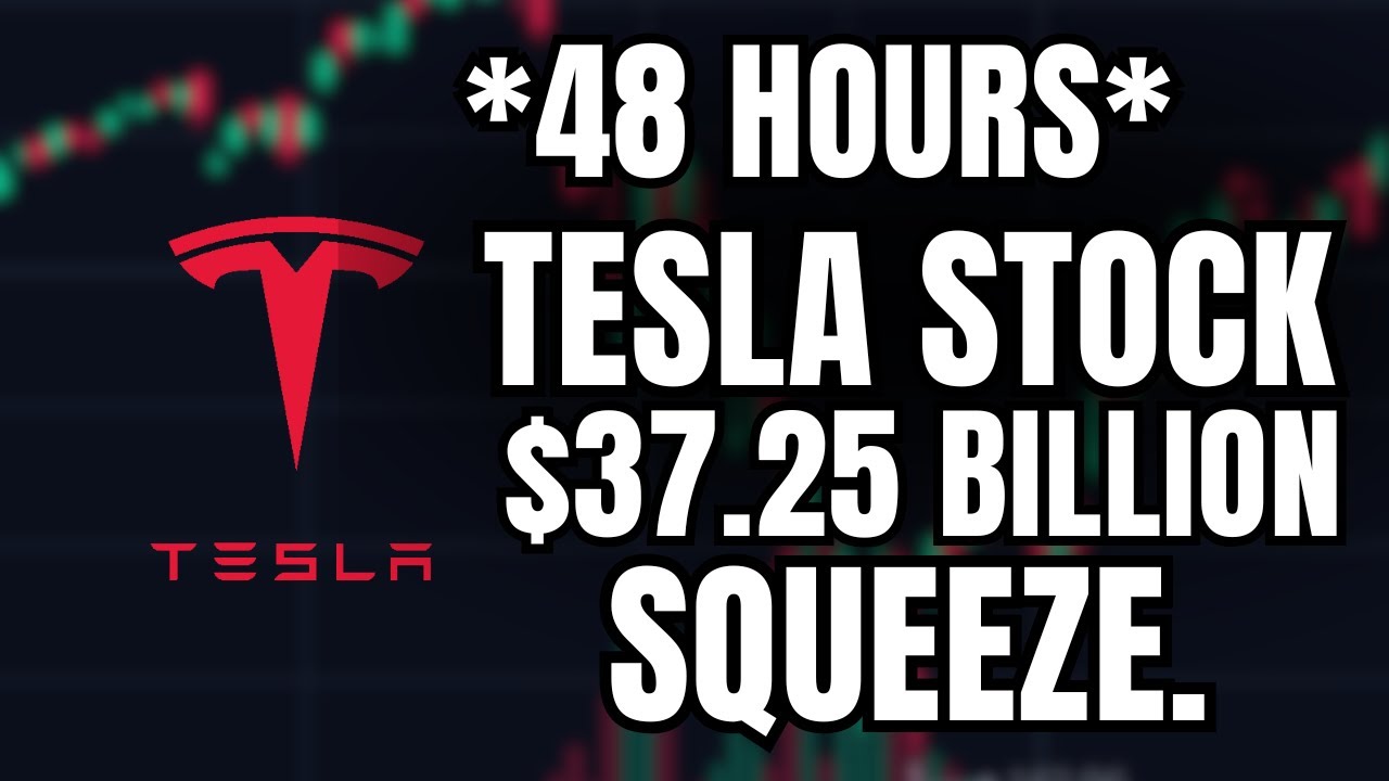 Tesla Stock Short Squeeze. *48 HOUR WARNING* - YouTube