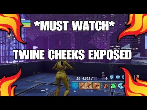 EXPOSING TWINE CHEEKS *MUST WATCH* - YouTube