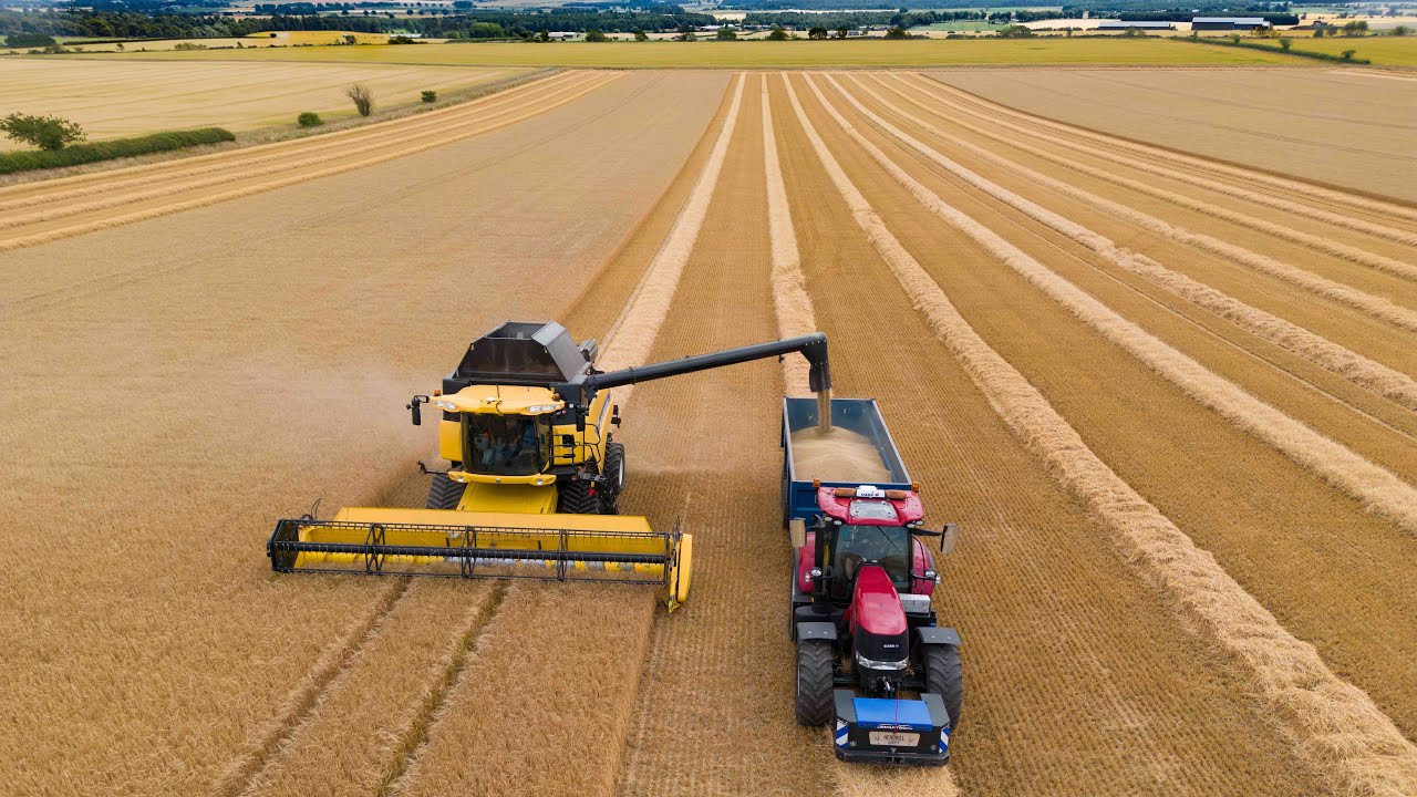 First of the New Crop - YouTube