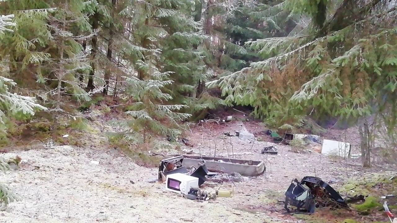 Funke Shark ps5 In microwave - YouTube