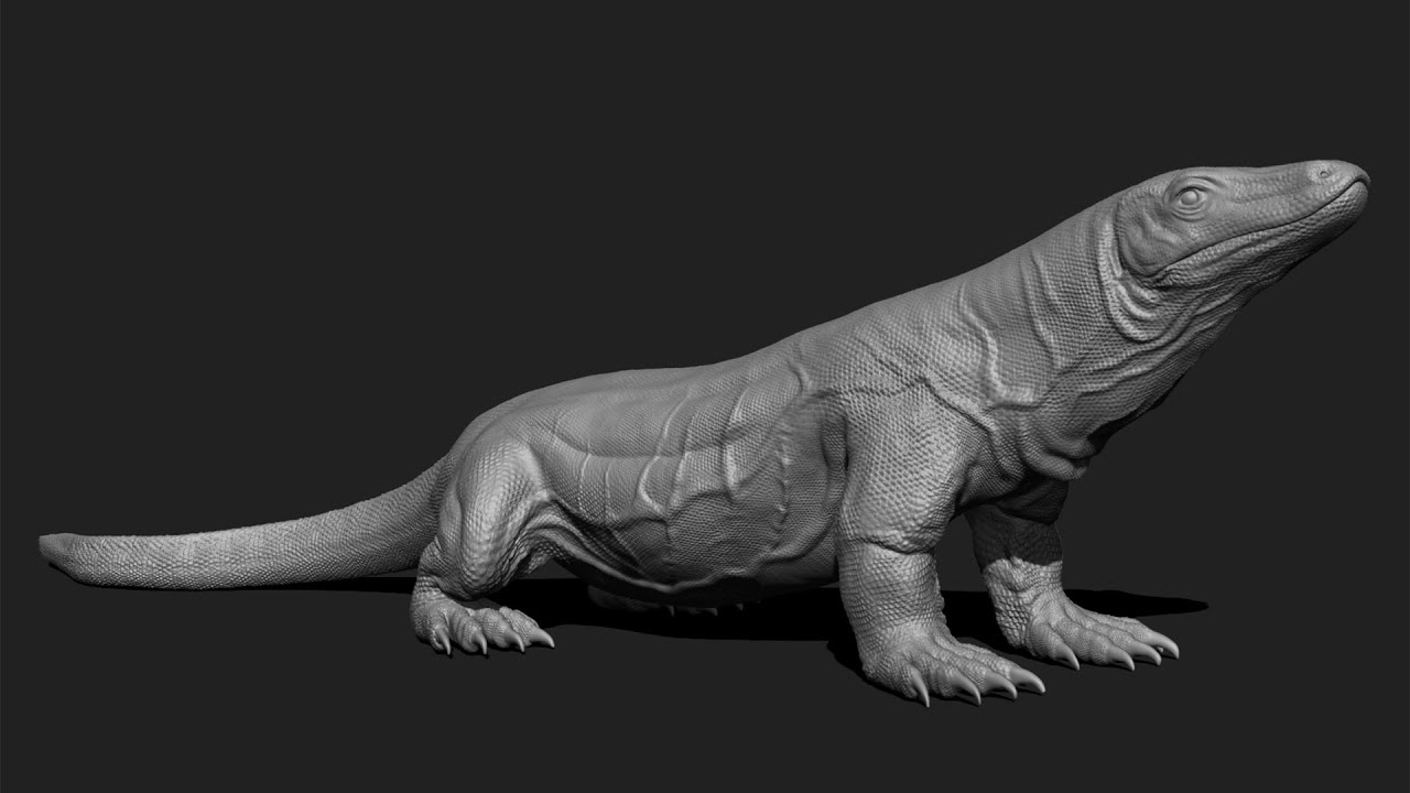 Komodo 3D model turntable - YouTube