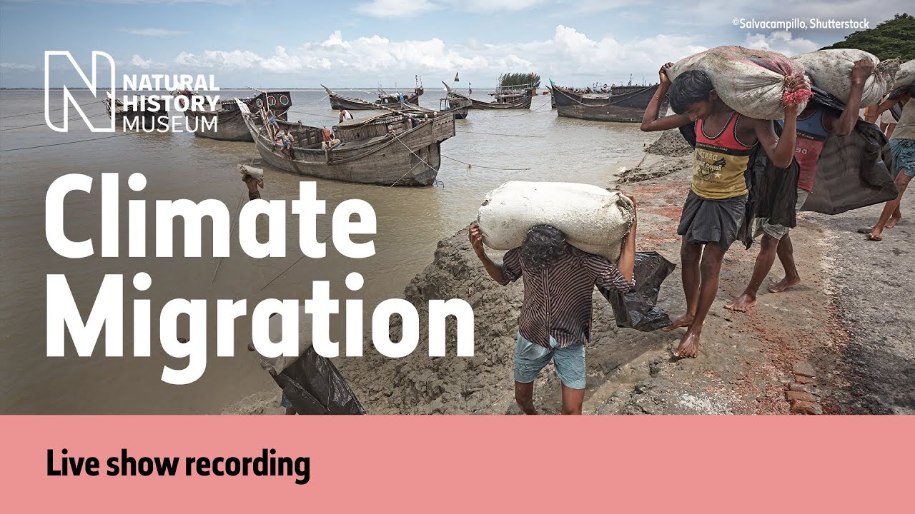 Displacement: The Human Impact of the Climate Crisis | Our Broken ...