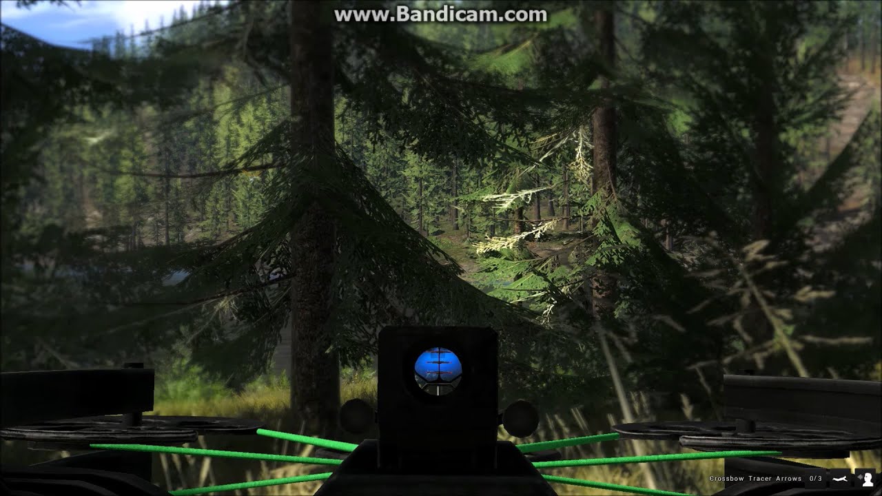 THE HUNTER: DD33 Shoots MONSTER 23.858 Chocolate Bear Rev Crossbow ...