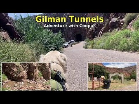 Exploring Gilman Tunnels | Golden Retriever Adventure in Jemez Springs ...