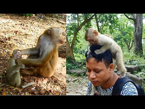 Lovely Rainbow d-islikes her mom Libby, so she runs to PaKna for help.she really love daddy so much