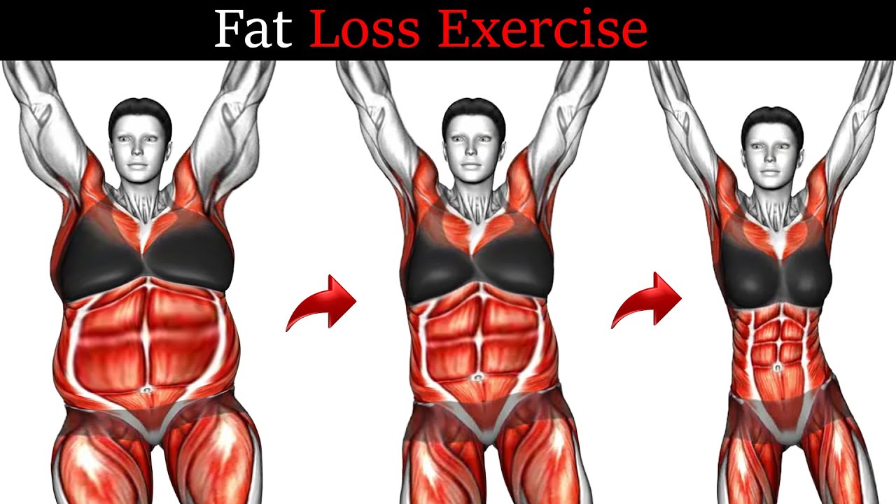 Full Body Fat Burning Routine 🔥10-Minute Home Workout to Lose Weight 🏠 ...