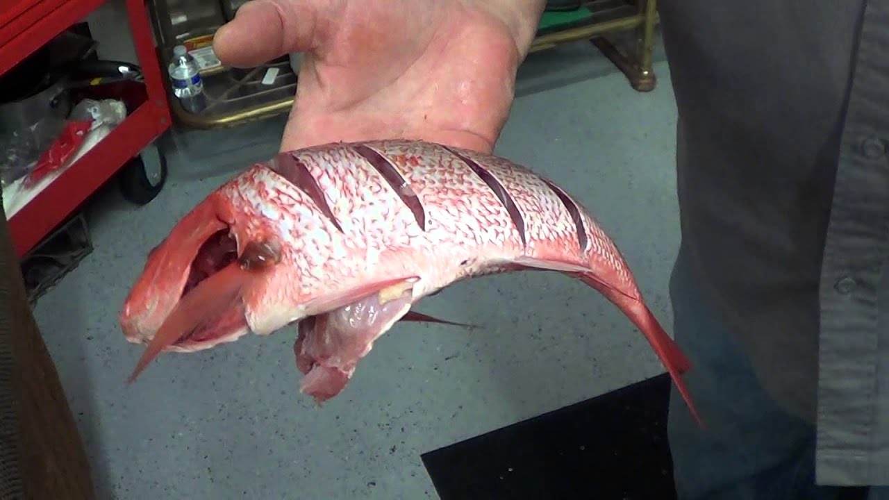 Whole fish cooking with true red snapper - YouTube