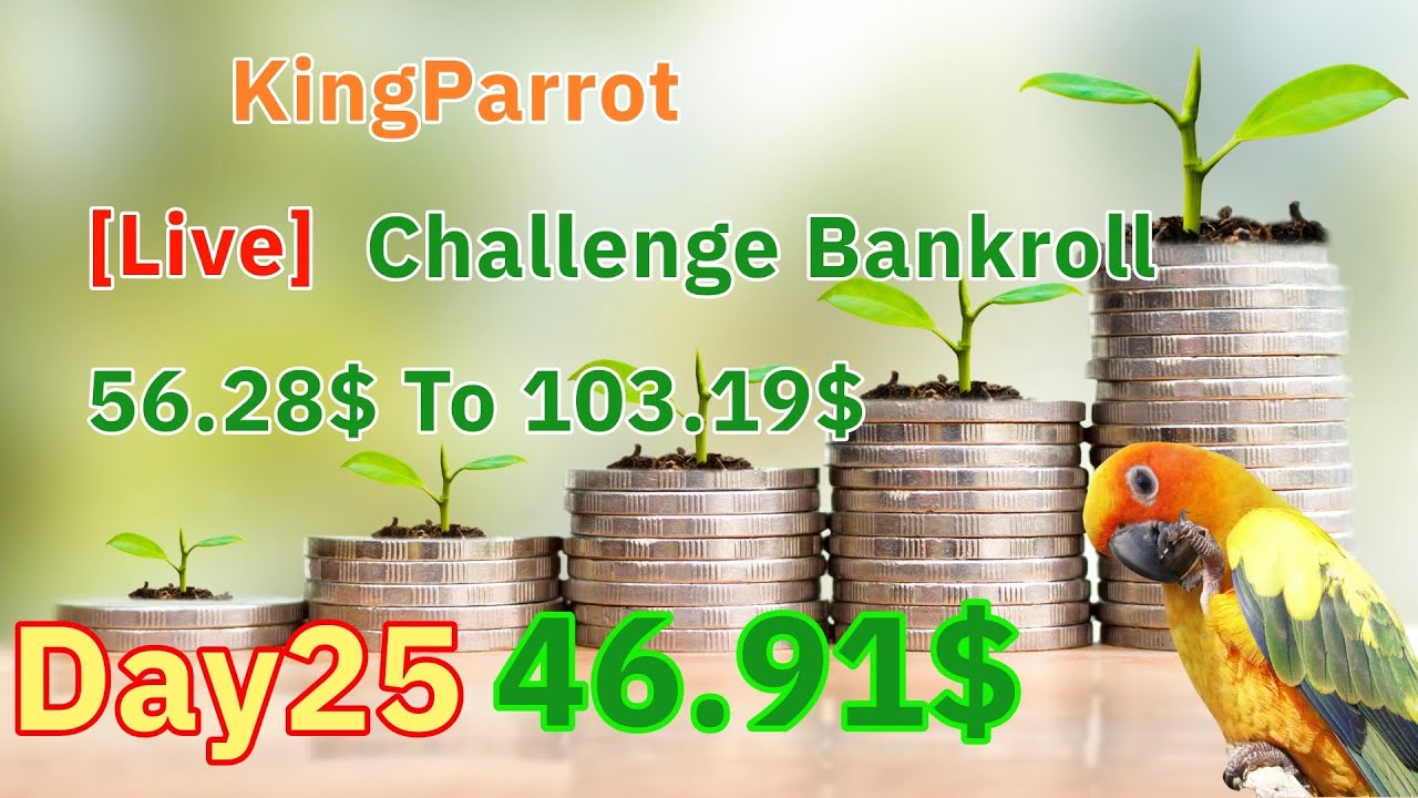 [Live] Day25.2 Challenge Bankroll 60$ TO ... - YouTube