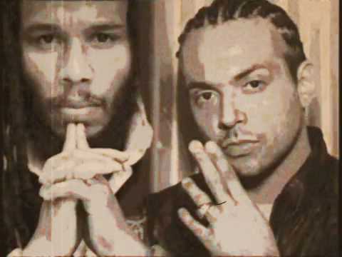 Ziggy Marly ft  Sean Paul   Three Little Birds With Lyrics   YouTube