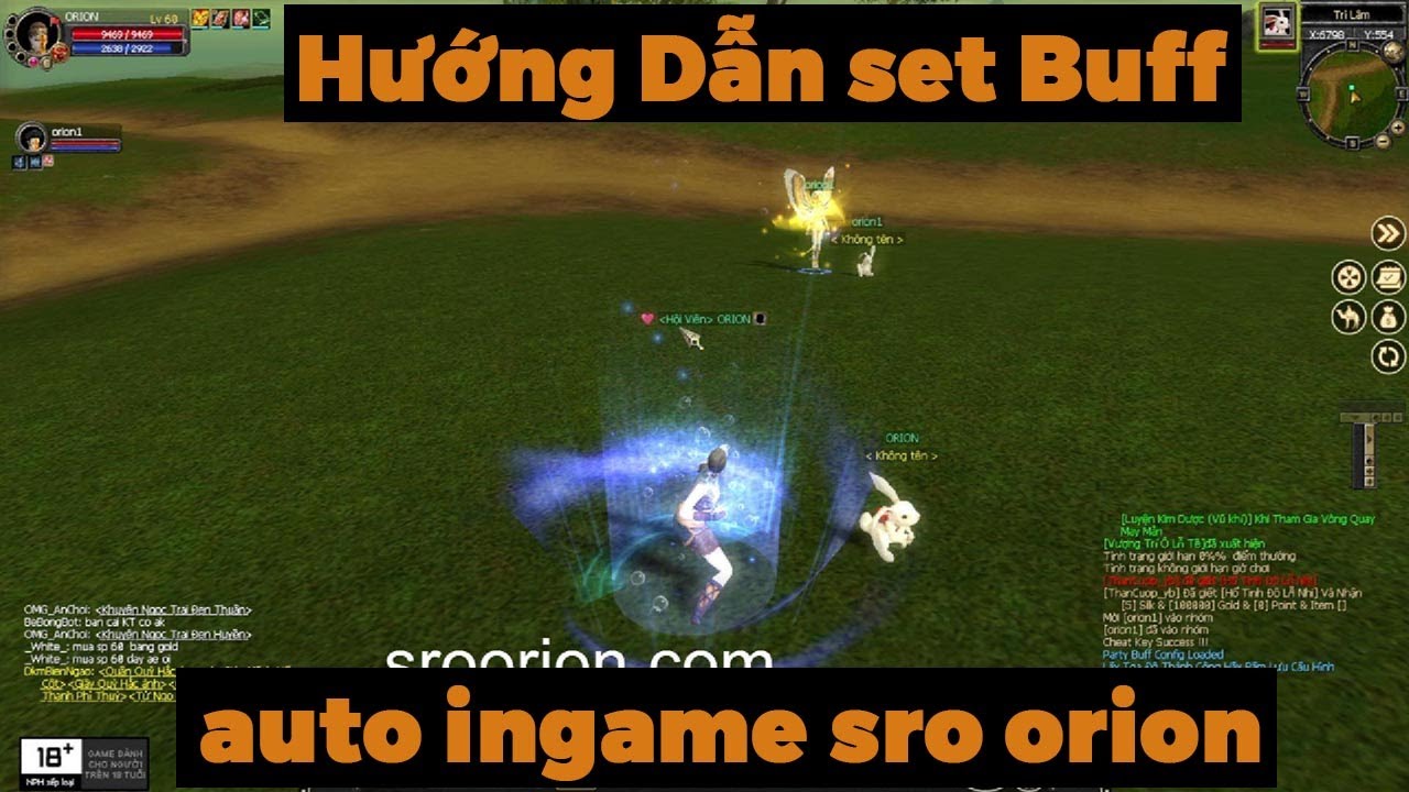 hướng dẫn buff nội công auto ingame sro orion - YouTube
