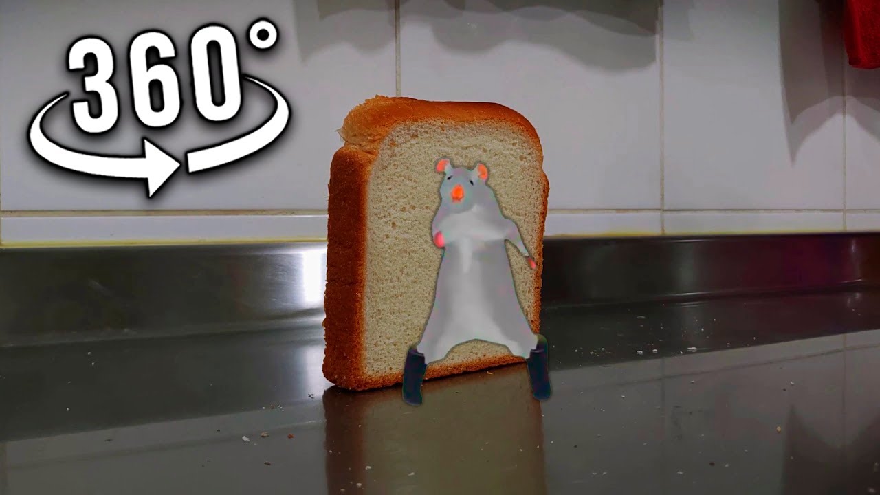 Toast falling Rat dance ! | VR 360° - YouTube