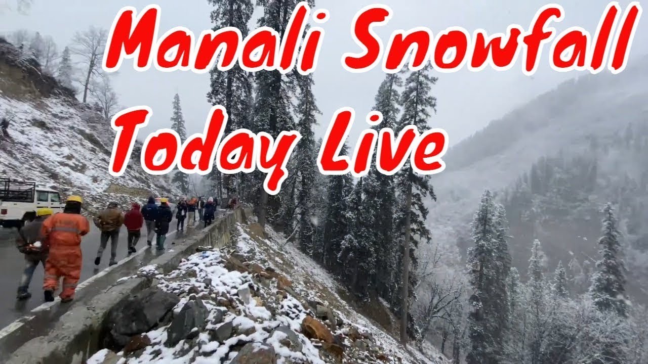 Manali snowfall today live | #snowfall_in_manali #snowactivityinmanali ...